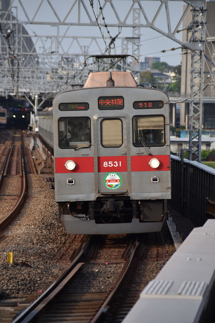 8500系 の写真 |鉄道写真投稿サイトTrain-Directory