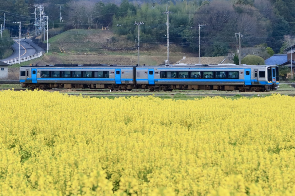 JR四2000系2123の編成データ、編成表、ニュース、写真|2nd-train