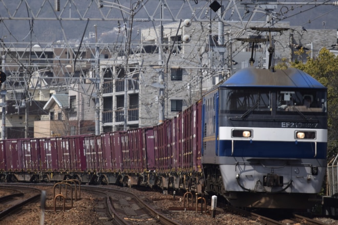 新鶴見機関区 EF210 327 の写真 |鉄道写真投稿サイトTrain-Directory