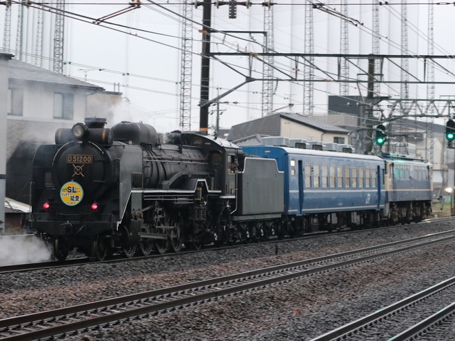 梅小路運転区 D51 200 の写真 |鉄道写真投稿サイトTrain-Directory
