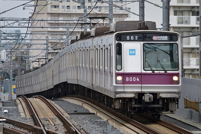 鷺沼検車区 8000系 8104F の写真 |鉄道写真投稿サイトTrain-Directory