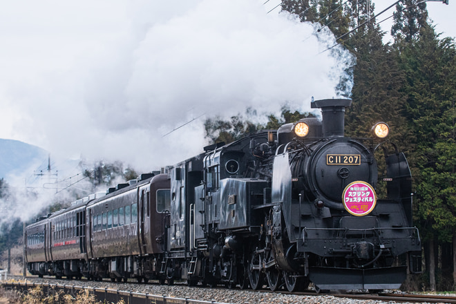 下今市機関区 C11 207 の写真 |鉄道写真投稿サイトTrain-Directory