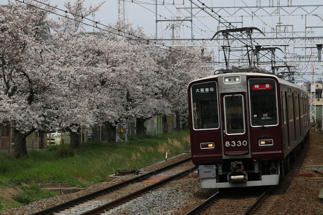 正雀車庫 8300系 8330F の写真 |鉄道写真投稿サイトTrain-Directory