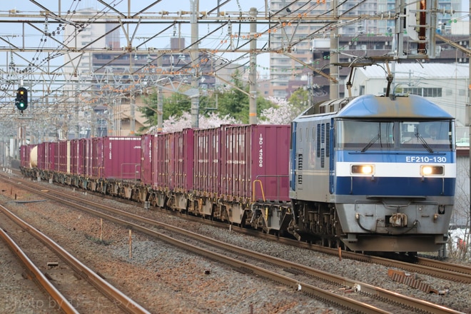 吹田機関区 EF210 130 の写真 |鉄道写真投稿サイトTrain-Directory
