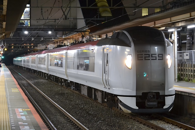 鎌倉車両センター本所 E259系 クラNe008編成 の写真 |鉄道写真投稿サイトTrain-Directory