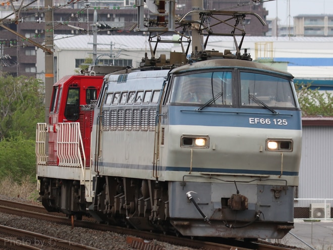 吹田機関区 EF66 125 の写真 |鉄道写真投稿サイトTrain-Directory