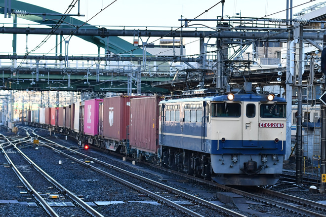 新鶴見機関区 EF65 2085 の写真 |鉄道写真投稿サイトTrain-Directory