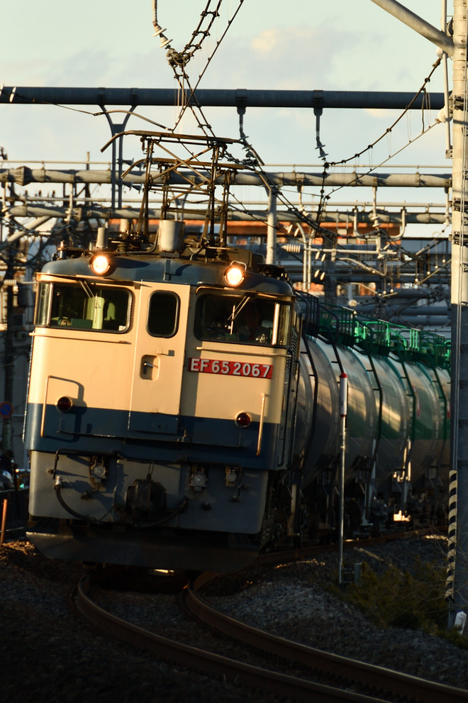 新鶴見機関区 EF65 2067 の写真 |鉄道写真投稿サイトTrain-Directory