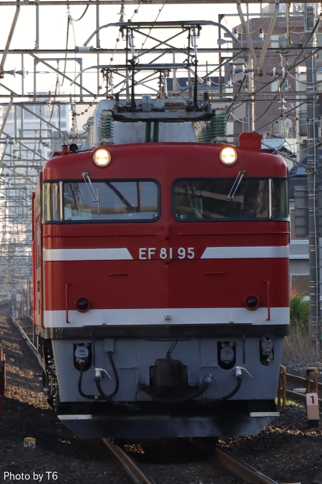 尾久車両センター EF81 95 の写真 |鉄道写真投稿サイトTrain-Directory