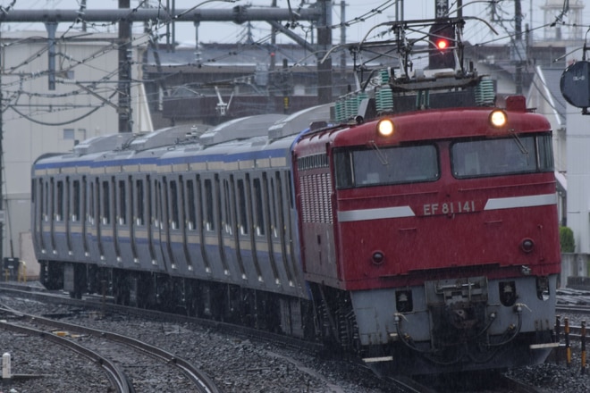 新潟車両センター EF81形 EF81-141 の写真 |鉄道写真投稿サイトTrain-Directory