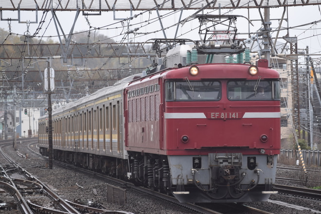 新潟車両センター EF81 141 の写真 |鉄道写真投稿サイトTrain-Directory