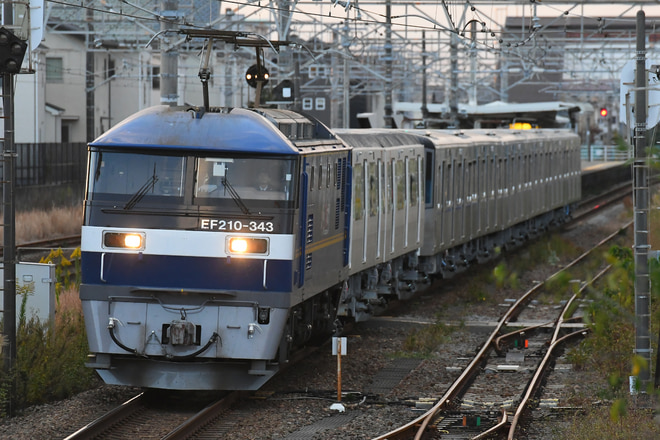 EF210形 EF210-343 の写真 |鉄道写真投稿サイトTrain-Directory