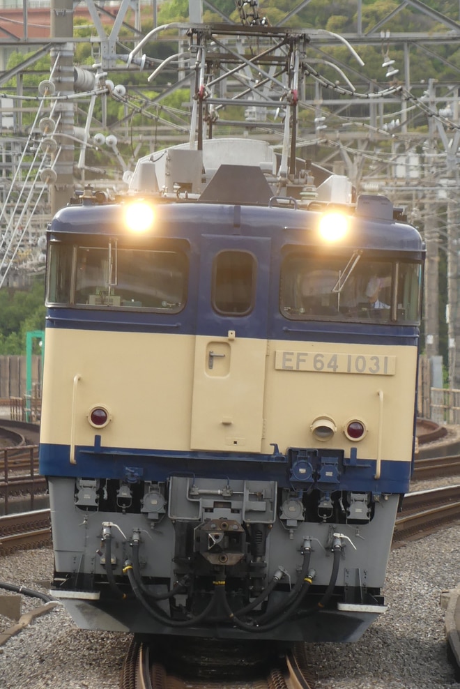 新潟車両センター EF64 1031 の写真 |鉄道写真投稿サイトTrain-Directory