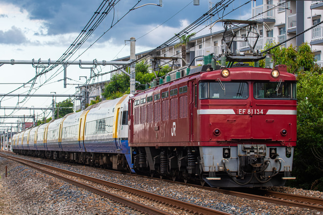 新潟車両センター EF81 134 の写真 |鉄道写真投稿サイトTrain-Directory