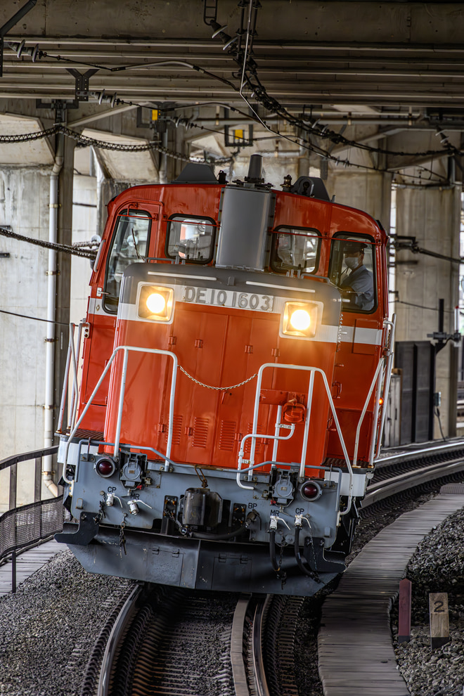 ぐんま車両センター DE10 1603 の写真 |鉄道写真投稿サイトTrain-Directory