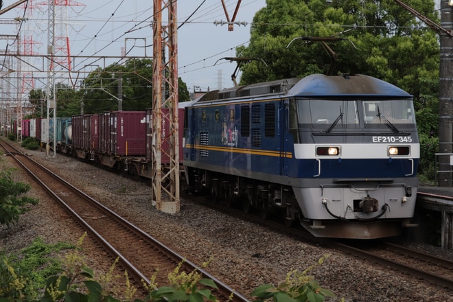 新鶴見機関区 EF210 345 の写真 |鉄道写真投稿サイトTrain-Directory