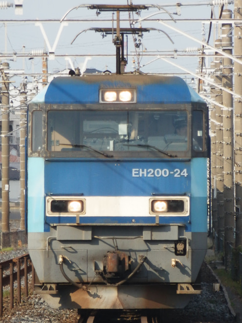 高崎機関区 EH200 24 の写真 |鉄道写真投稿サイトTrain-Directory