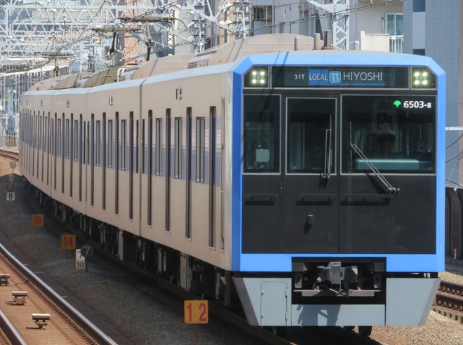 志村検車場 6500形 6503F の写真 |鉄道写真投稿サイトTrain-Directory