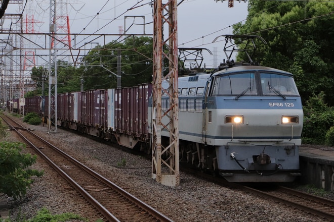 吹田機関区 EF66 129 の写真 |鉄道写真投稿サイトTrain-Directory