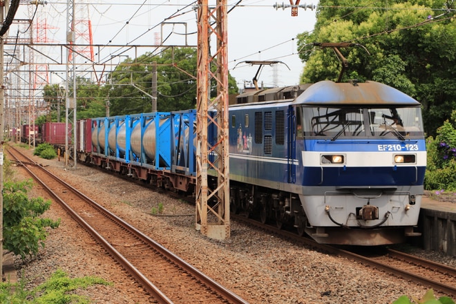新鶴見機関区 EF210 123 の写真 |鉄道写真投稿サイトTrain-Directory