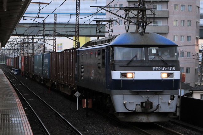 新鶴見機関区 EF210 105 の写真 |鉄道写真投稿サイトTrain-Directory