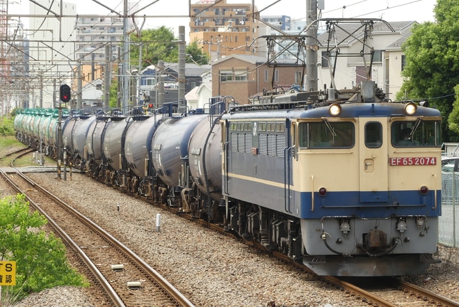 新鶴見機関区 EF65 2074 の写真 |鉄道写真投稿サイトTrain-Directory