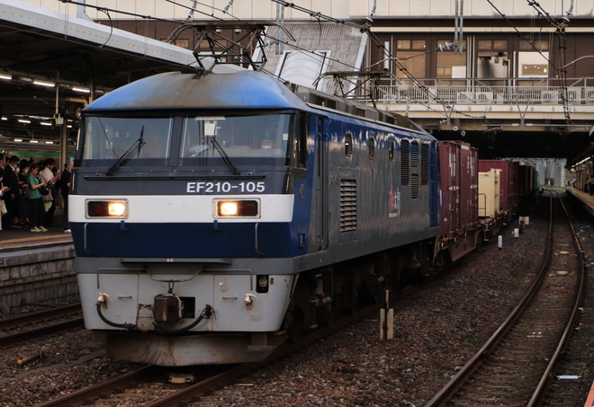新鶴見機関区 EF210 105 の写真 |鉄道写真投稿サイトTrain-Directory