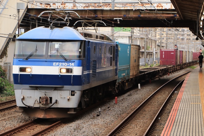 岡山機関区 EF210 14 の写真 |鉄道写真投稿サイトTrain-Directory