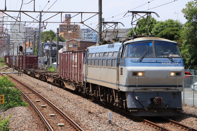 吹田機関区 EF66 124 の写真 |鉄道写真投稿サイトTrain-Directory