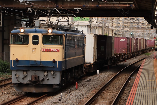 新鶴見機関区 EF65 2067 の写真 |鉄道写真投稿サイトTrain-Directory