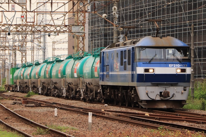 新鶴見機関区 EF210 123 の写真 |鉄道写真投稿サイトTrain-Directory
