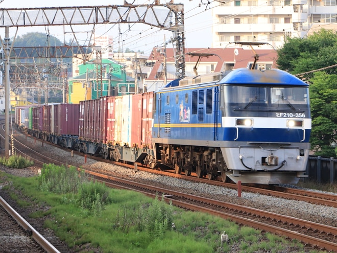 吹田機関区 EF210 356 の写真 |鉄道写真投稿サイトTrain-Directory
