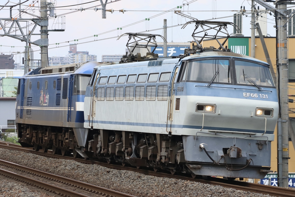 吹田機関区 EF66形 EF66-131 の写真 |鉄道写真投稿サイトTrain-Directory