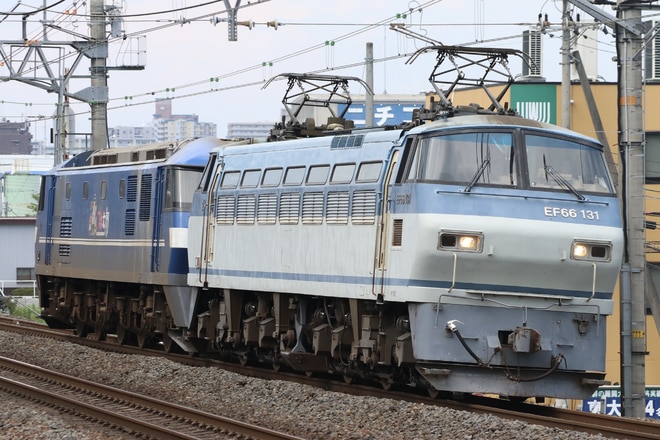 吹田機関区 EF66形 EF66-131 の写真 |鉄道写真投稿サイトTrain-Directory