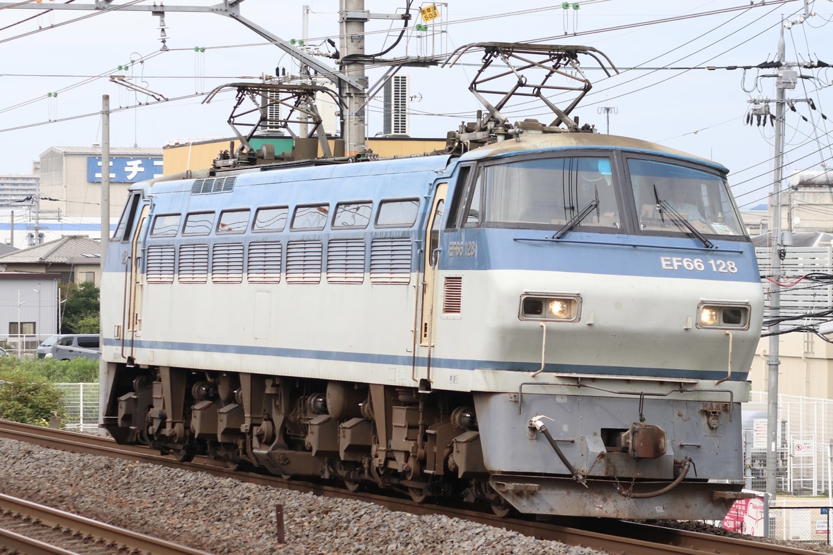 吹田機関区 EF66形 EF66-128 の写真 |鉄道写真投稿サイトTrain-Directory