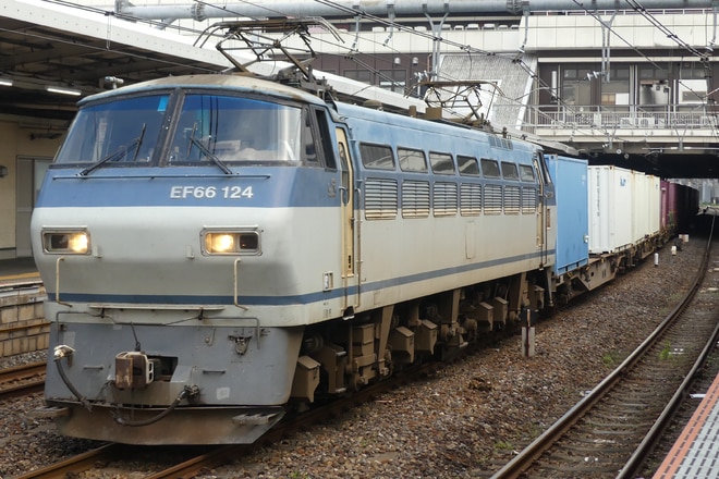 吹田機関区 EF66 124 の写真 |鉄道写真投稿サイトTrain-Directory