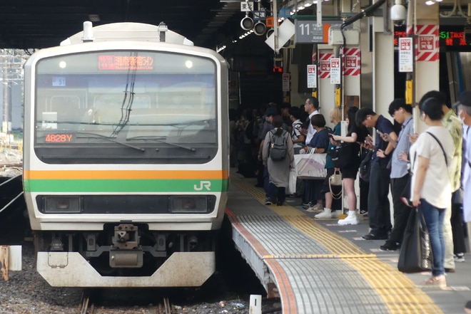 小山車両センター E231系 ヤマU51編成 の写真 |鉄道写真投稿サイトTrain-Directory