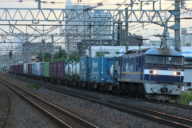 吹田機関区 EF210形 EF210-309 の写真 |鉄道写真投稿サイトTrain-Directory