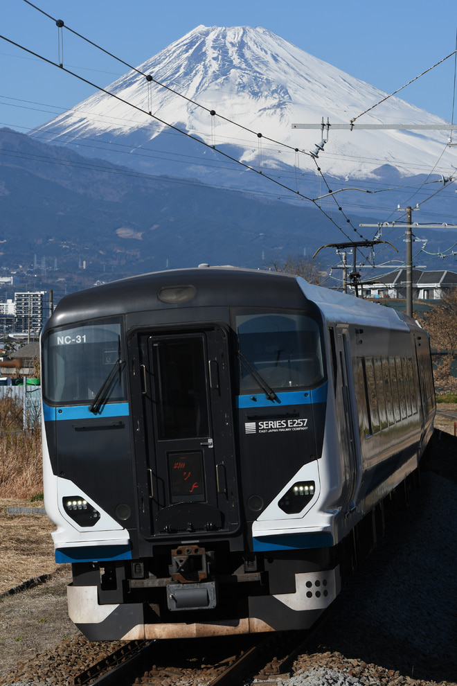 大宮総合車両センター東大宮センター E257系 NC-31編成 の写真 |鉄道写真投稿サイトTrain-Directory