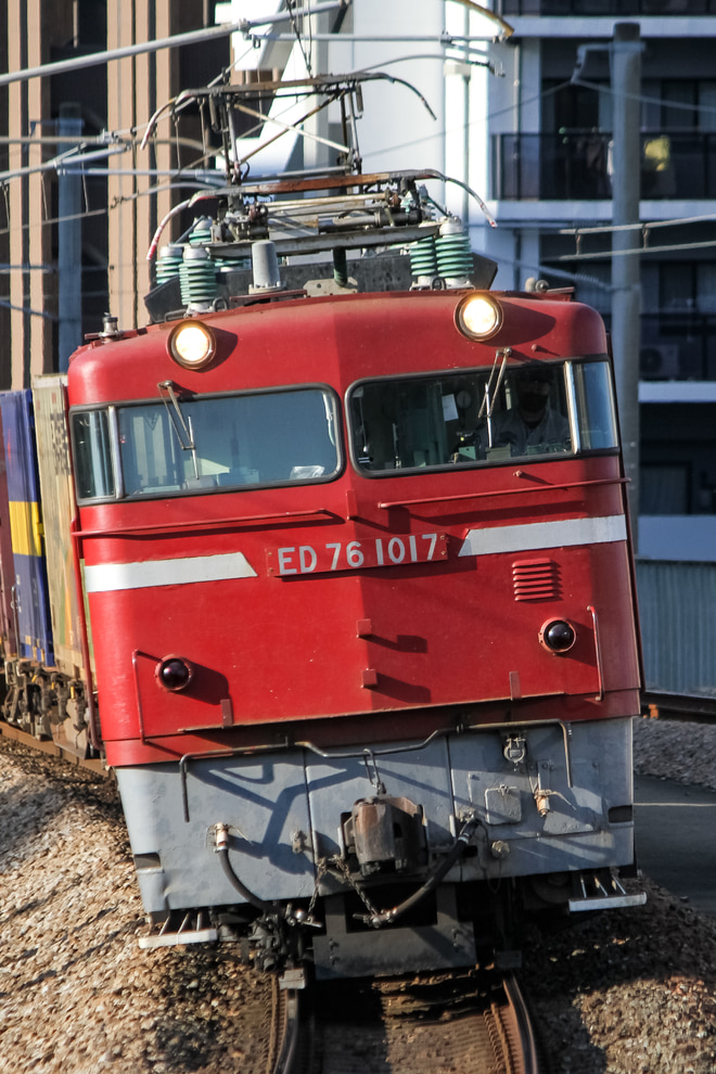門司機関区 ED76 1017 の写真 |鉄道写真投稿サイトTrain-Directory