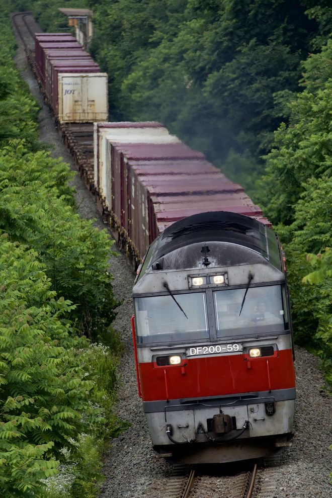 五稜郭機関区 DF200形 DF200-59 の写真 |鉄道写真投稿サイトTrain-Directory