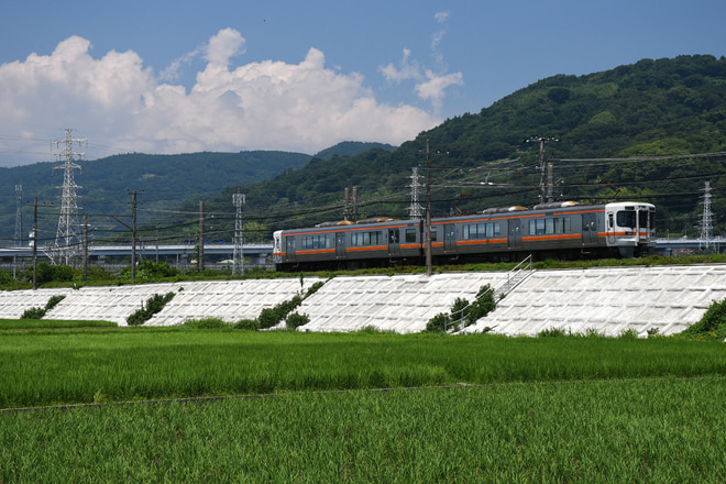 静岡車両区 313系 シスL7編成 の写真 |鉄道写真投稿サイトTrain-Directory