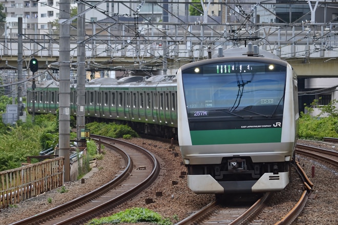 川越車両センター E233系 ハエ123編成 の写真 |鉄道写真投稿サイトTrain-Directory