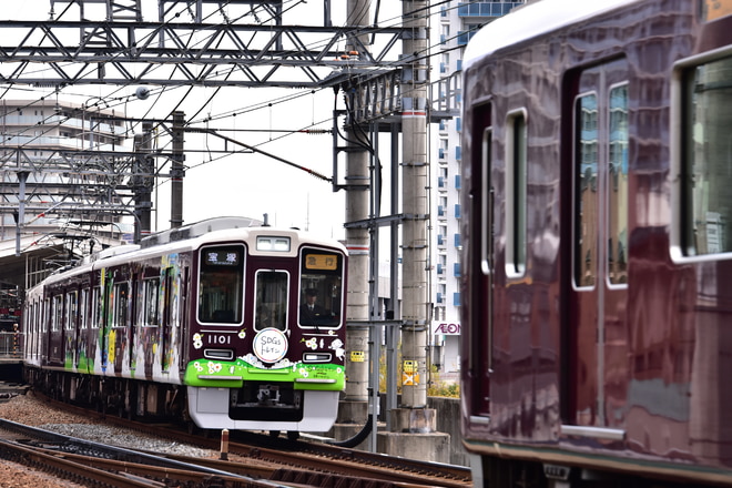 平井車庫 1000系 1001F の写真 |鉄道写真投稿サイトTrain-Directory