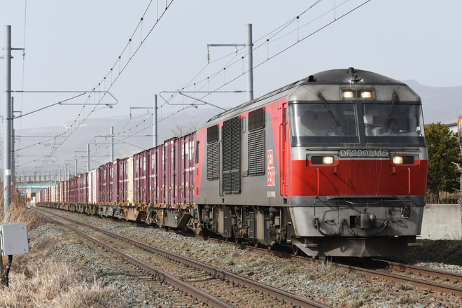 DF200形 DF200-115 の写真 |鉄道写真投稿サイトTrain-Directory