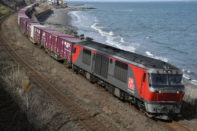 DF200形 DF200-115 の写真 |鉄道写真投稿サイトTrain-Directory