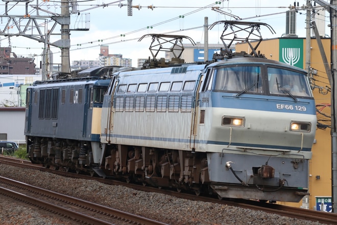 吹田機関区 EF66形 EF66-129 の写真 |鉄道写真投稿サイトTrain-Directory