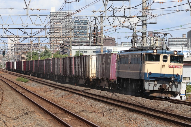 新鶴見機関区 EF65形 EF65-2081 の写真 |鉄道写真投稿サイトTrain-Directory