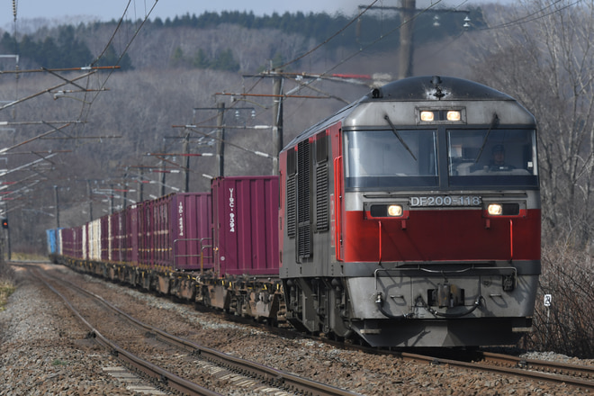 DF200形 DF200-118 の写真 |鉄道写真投稿サイトTrain-Directory