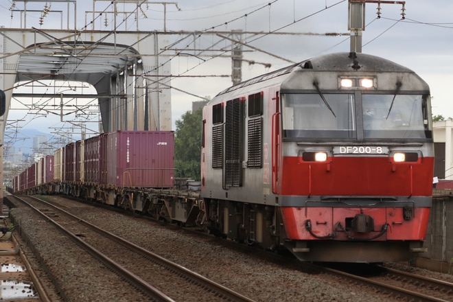 五稜郭機関区 DF200形 DF200-8 の写真 |鉄道写真投稿サイトTrain-Directory